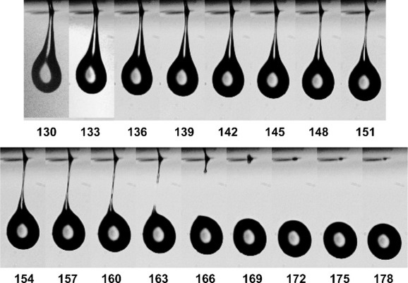 Complete Guide to Large Format Canon Plotters and Printers